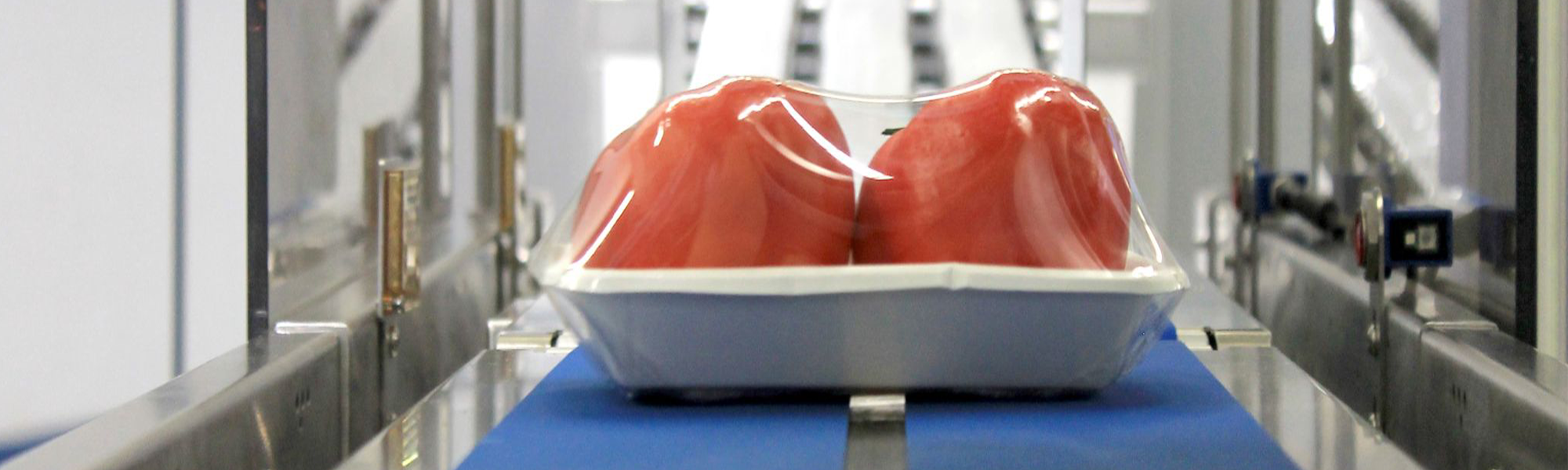 Food Grade Stretch Film – DIGI CANADA INCORPORATED